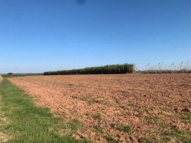 Fazenda para venda em Área Rural de Marília, Marília