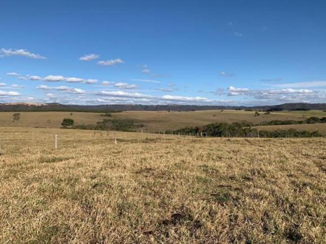 Fazenda para venda em Área Rural de Marília, Marília