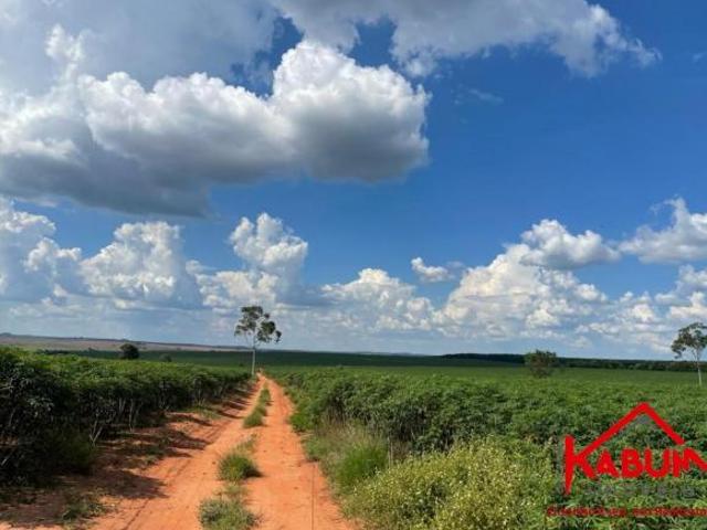 Fazenda para venda em Área Rural de Marília, Marília