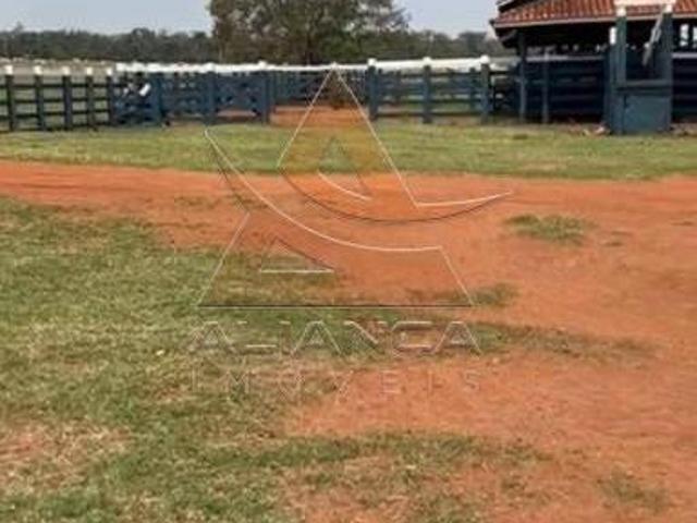 Fazenda para venda em Área Rural de Marília, Marília