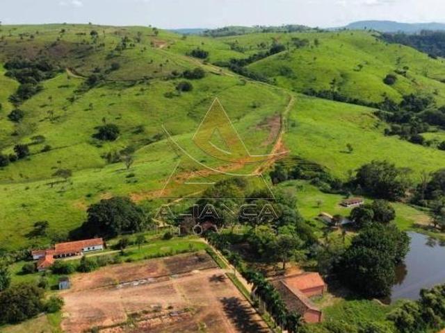 Fazenda para venda em Área Rural de Mogi Mirim, Mogi Mirim