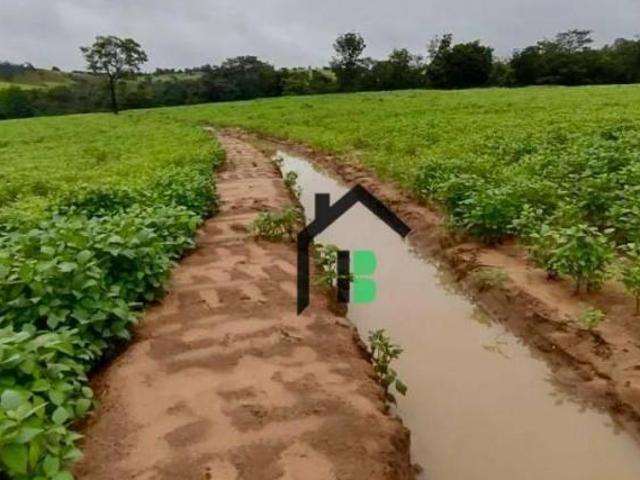Fazenda para venda em Área Rural de Patos de Minas, Patos de
