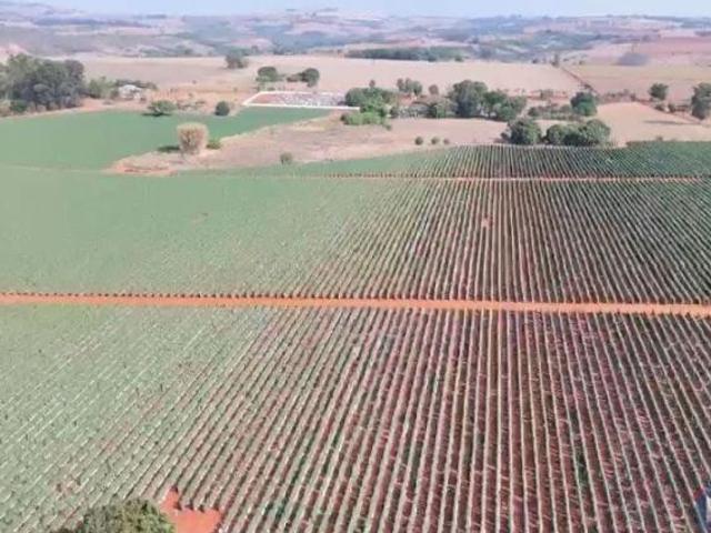 Fazenda para venda em Área Rural de Patos de Minas, Patos de