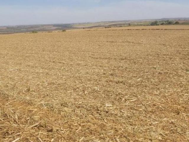 Fazenda para venda em Área Rural de Pouso Alegre, Pouso Aleg