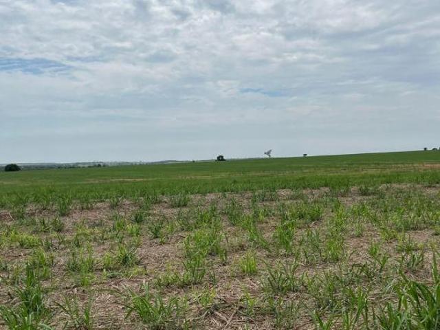 Fazenda para venda em Área Rural de Presidente Prudente, Pre