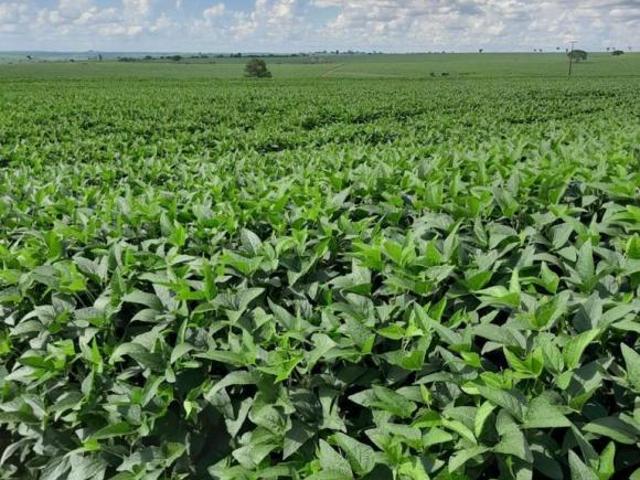 Fazenda para venda em Área Rural de Presidente Prudente, Pre