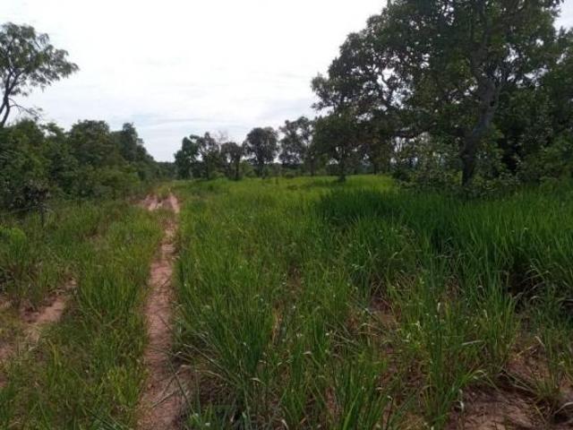 Fazenda para venda em Área Rural de Ribas do Rio Pardo, Riba