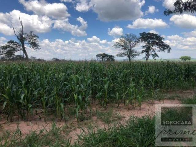 Fazenda para venda em Área Rural de São Carlos, São Carlos