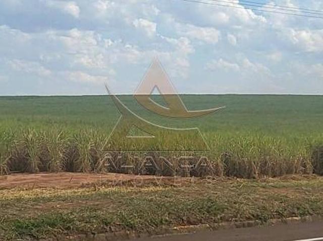 Fazenda para venda em Área Rural de São Carlos, São Carlos