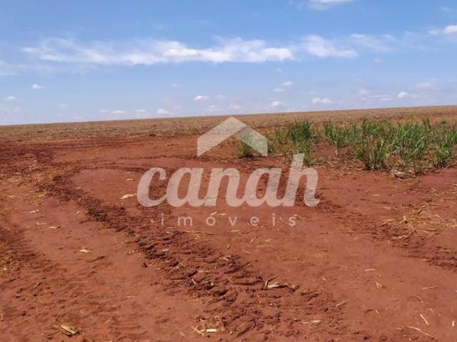 Fazenda para venda em Área Rural de São Carlos, São Carlos