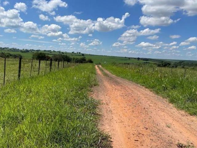 Fazenda para venda em Área Rural de São José do Rio Preto, S