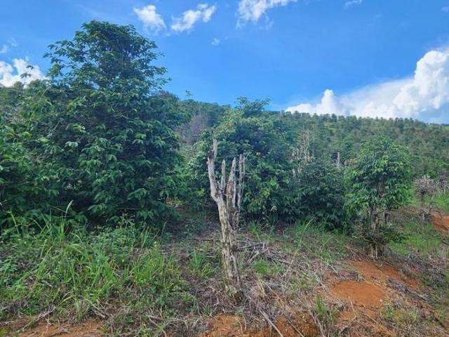 Fazenda para venda em Área Rural de Santa Rita do Sapucaí, S