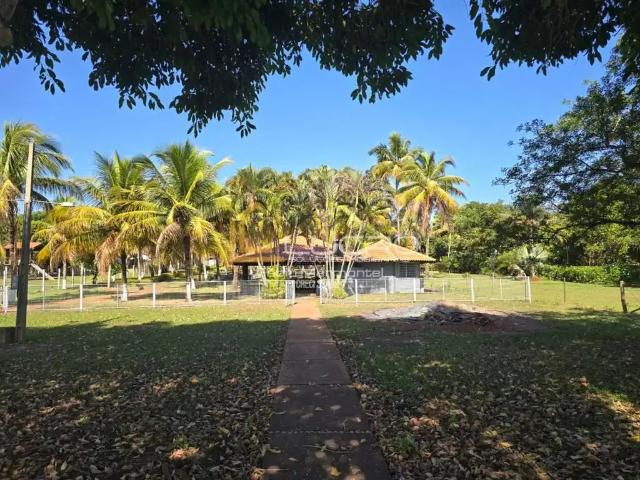 Fazenda para Venda em Arealva/SP Centro 5 Quartos