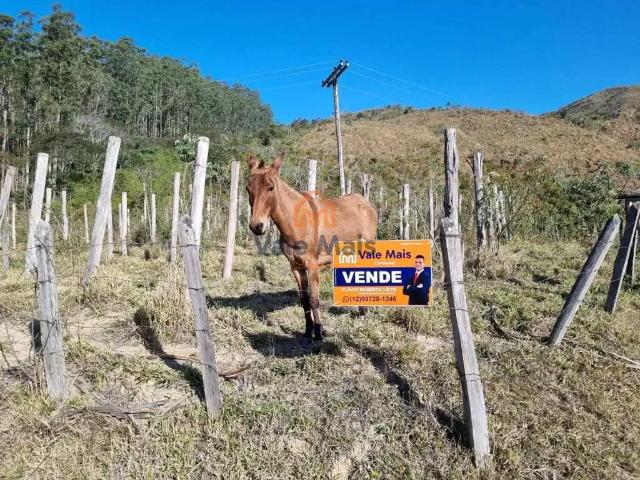 Fazenda para Venda em Areias/SP Centro 2 Quartos
