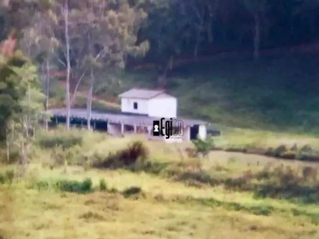 Fazenda para Venda em Argirita/MG Centro 5 Quartos