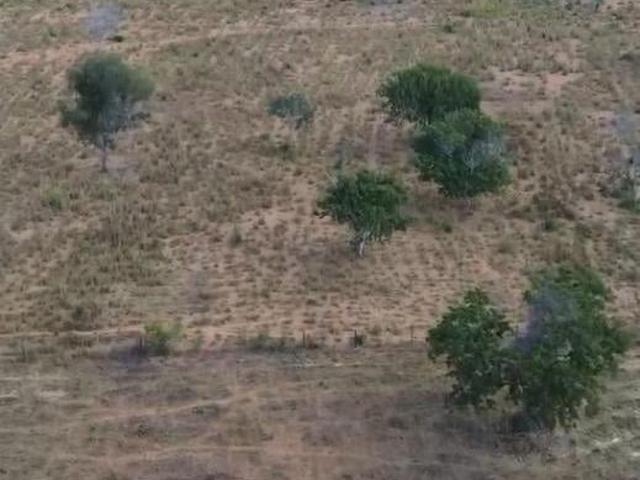 Fazenda para Venda em Arinos