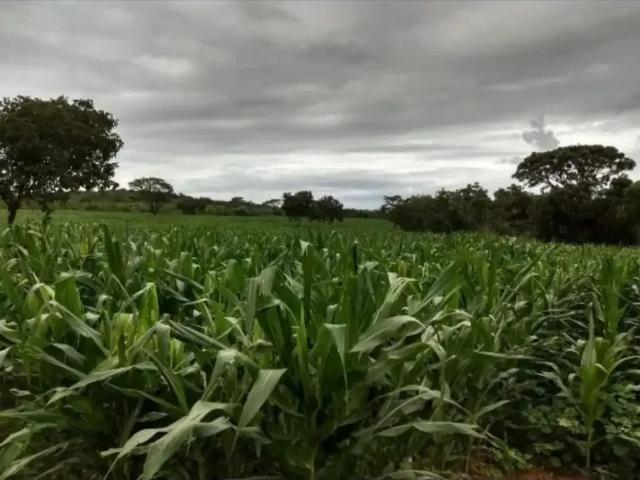 Fazenda para Venda em Arinos/MG Zona Rural