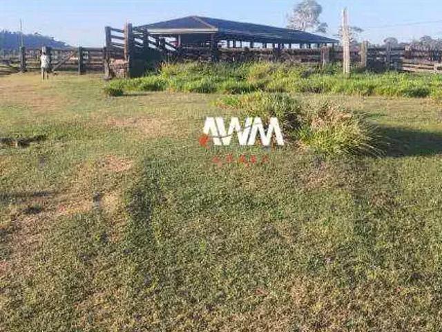 Fazenda para Venda em Ariquemes/RO Área Rural de Ariquemes