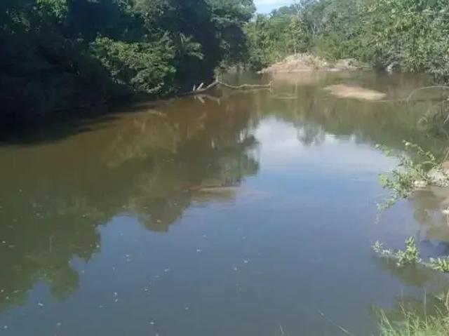 Fazenda para Venda em Arraias/TO Zona Rural