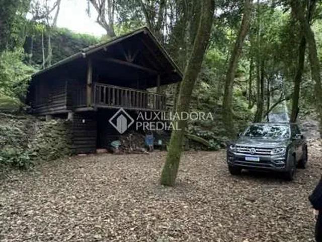 Fazenda para Venda em Arroio do Meio/RS Linha Palmas Distrito