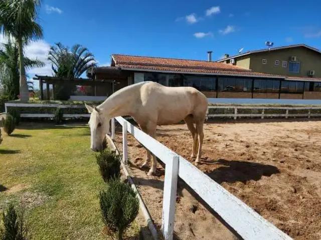Fazenda para Venda em Atibaia/SP Guaxinduva 14 Quartos