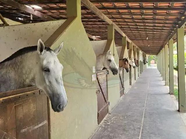 Fazenda para Venda em Atibaia/SP Jardim Brogotá 8 Quartos