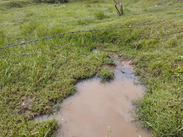 Fazenda para Venda em Atílio Vivácqua/ES Centro