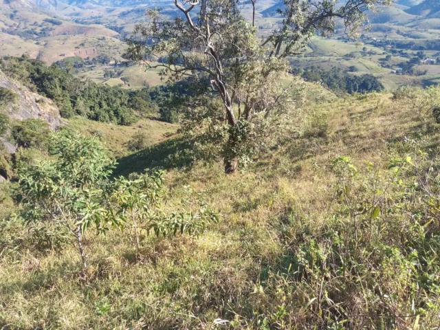 Fazenda para Venda em Atílio Vivácqua/ES Centro