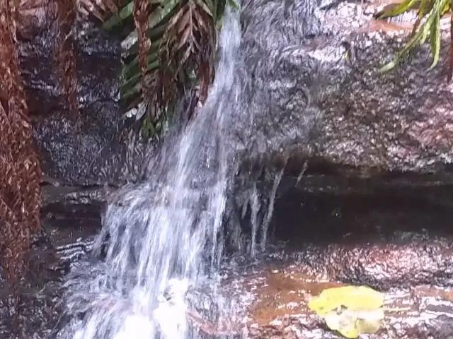 Fazenda para Venda em Atílio Vivácqua/ES Centro