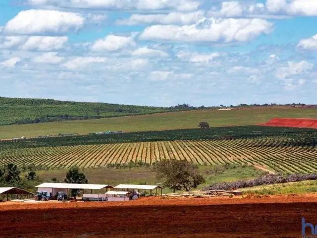 Fazenda para Venda em Augusto de Lima/MG Zona Rural