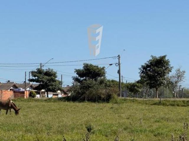 Fazenda para venda em Avaré