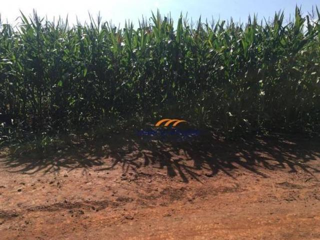 Fazenda para venda em Avaré