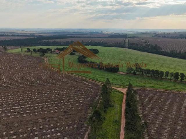 Fazenda para Venda em Avaré/SP Área Rural de Avaré
