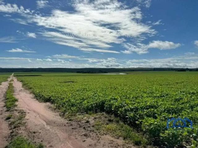 Fazenda para Venda em Avaré/SP Área Rural de Avaré 1 Quartos