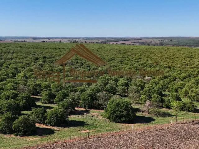 Fazenda para Venda em Avaré/SP Área Rural de Avaré