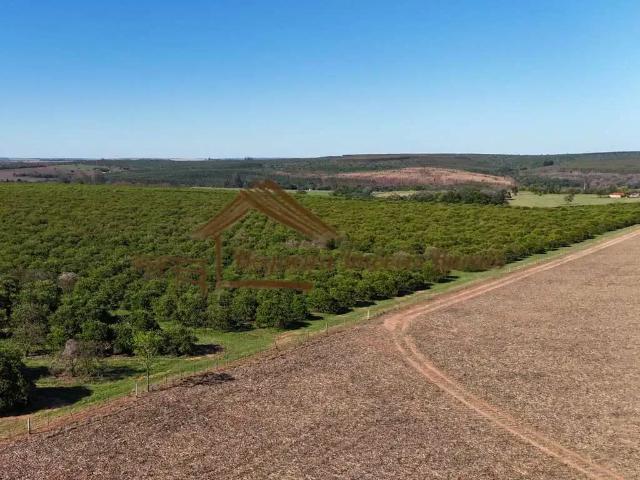 Fazenda para Venda em Avaré/SP Área Rural de Avaré