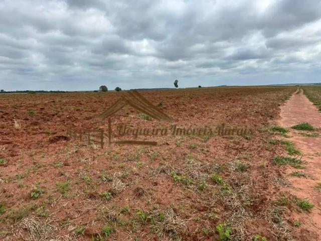 Fazenda para Venda em Avaré/SP Área Rural de Avaré