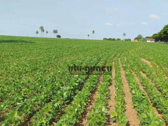 Fazenda para Venda em Avaré/SP Área Rural de Avaré