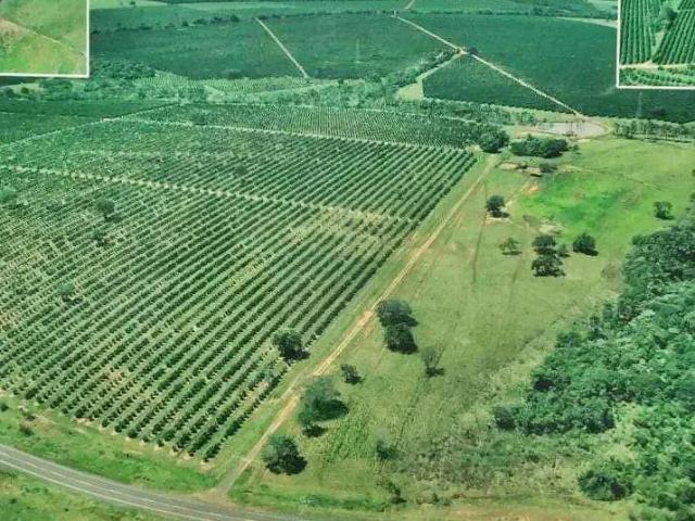 Fazenda para Venda em Avaré/SP Área Rural de Avaré