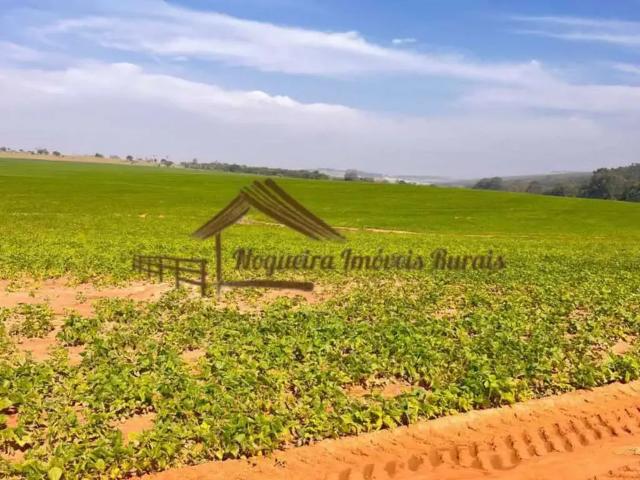 Fazenda para Venda em Avaré/SP Área Rural de Avaré