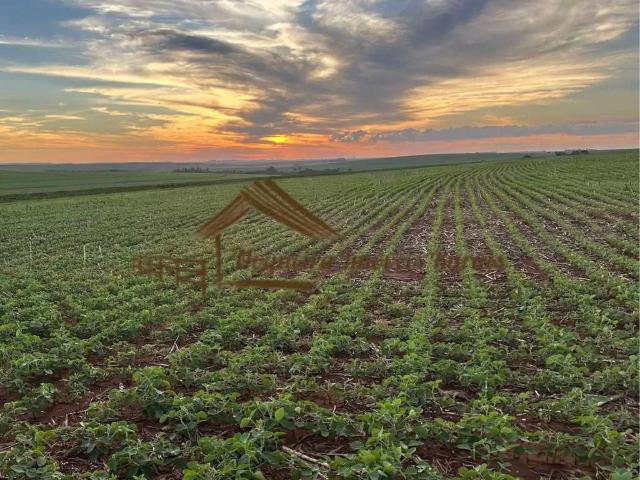 Fazenda para Venda em Avaré/SP Área Rural de Avaré