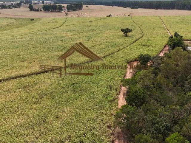 Fazenda para Venda em Avaré/SP Área Rural de Avaré