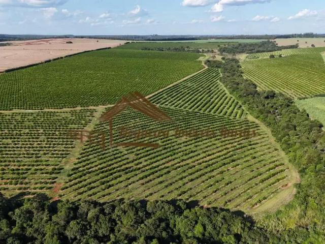 Fazenda para Venda em Avaré/SP Área Rural de Avaré