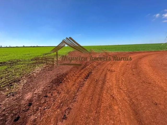 Fazenda para Venda em Avaré/SP Área Rural de Avaré