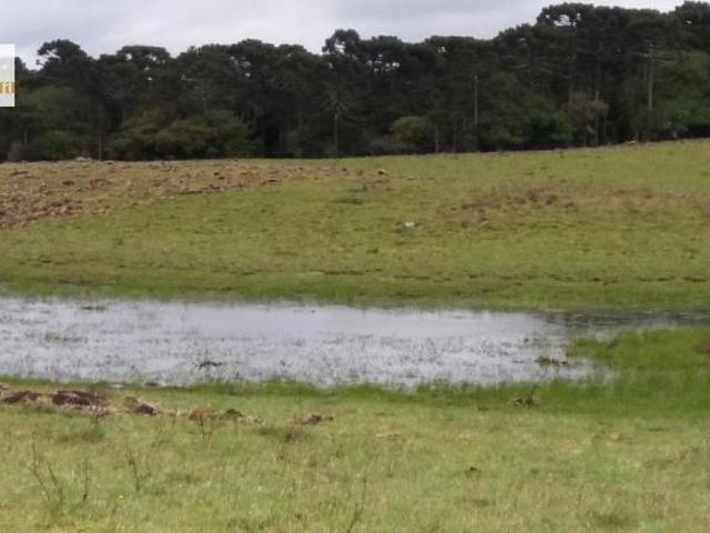 Fazenda para Venda em Azulêga Cambará do Sul RS