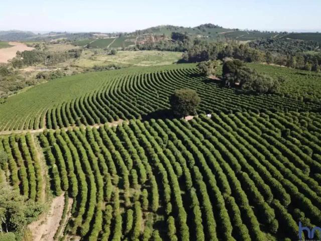 Fazenda para Venda em Botelhos/MG Zona Rural