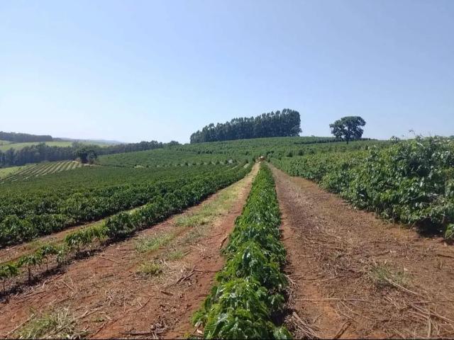 Fazenda para Venda em Botelhos/MG Zona Rural 3 Quartos