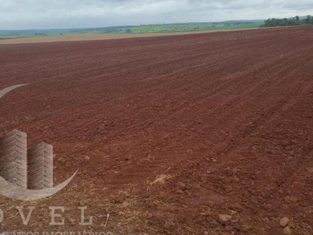 Fazenda para Venda em Botucatu, rural, 4 dormitórios, 1 suíte, 4 banheiros, 3 vagas