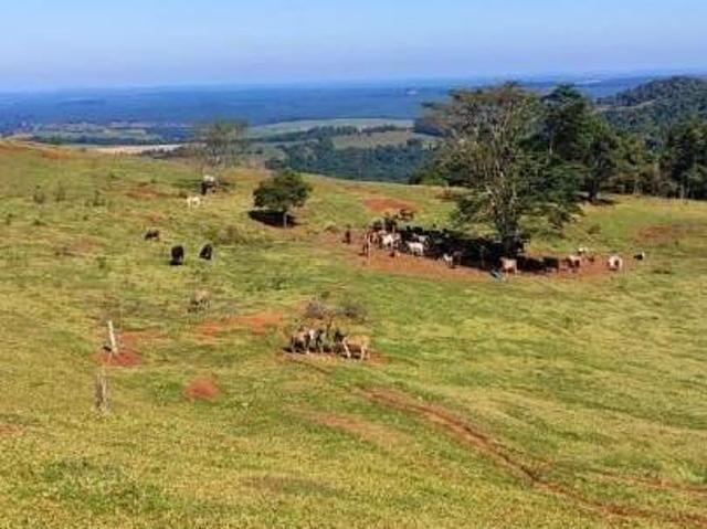 Fazenda para Venda em Botucatu, Vitoriana, 1 suíte