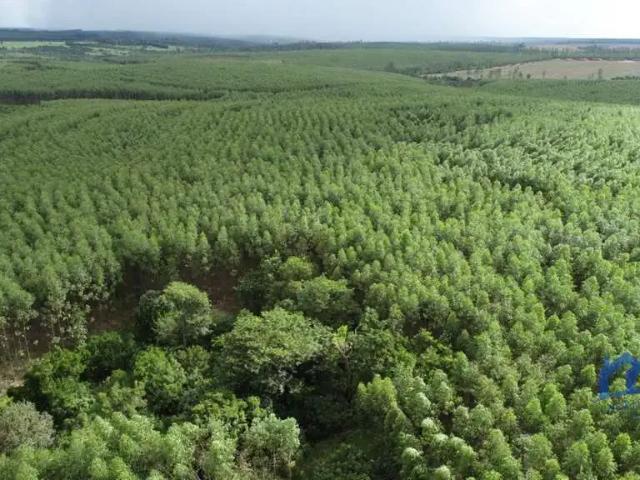 Fazenda para Venda em Botucatu/SP Zona Rural 1 Quartos